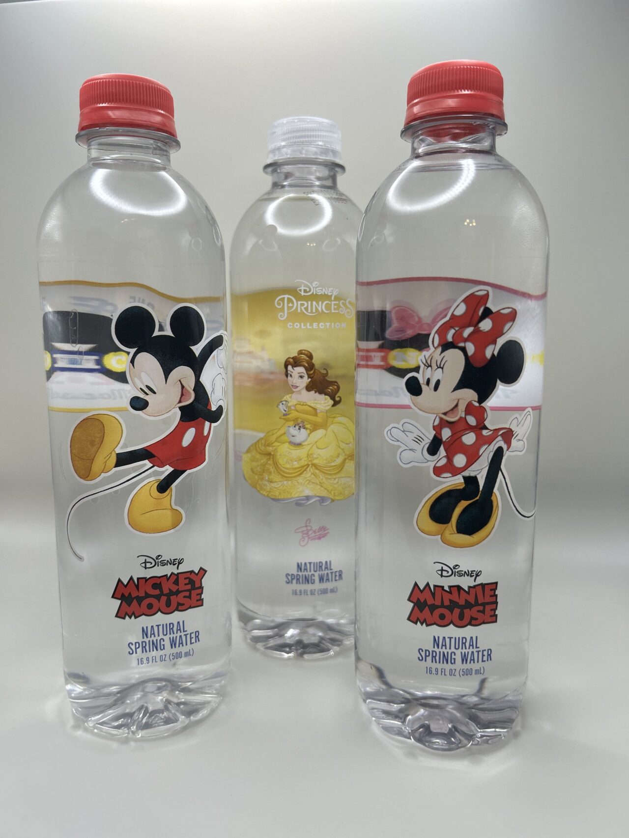 Disney Themed Water – Magical Vacation Services – Orlando, Florida